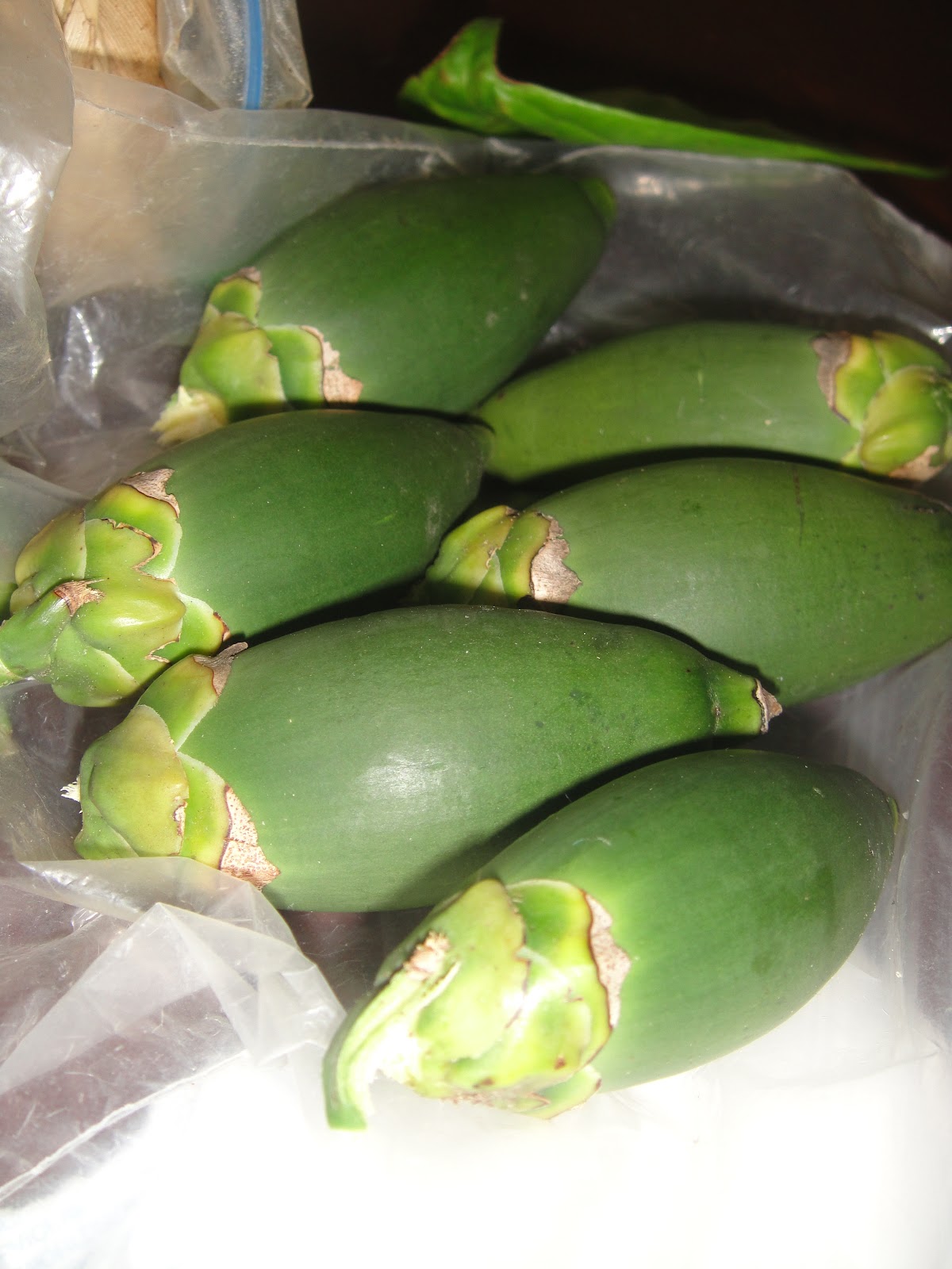 My Home: Chewing Betelnut