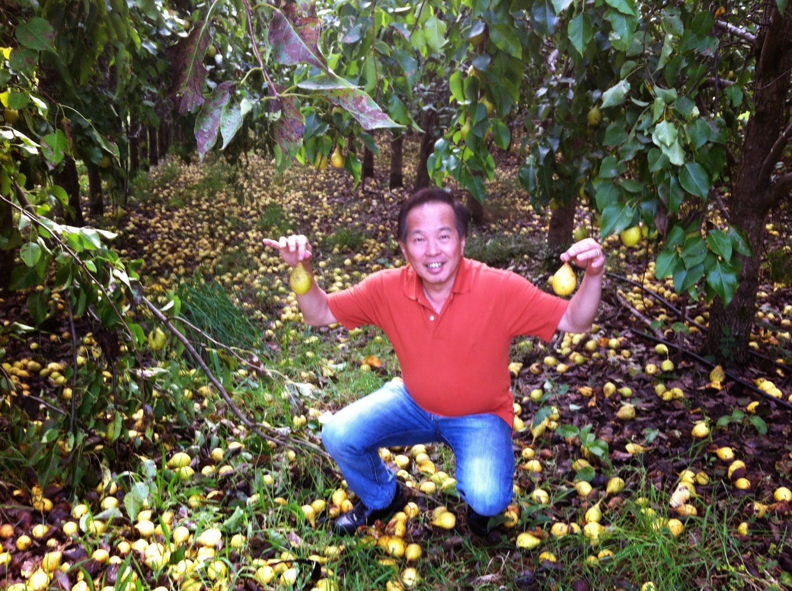 Musings from Debbie: Who got hooked, fishing at Tathra Wharf?