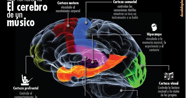 Música, Arte y Cerebro: Conferencias de Jessica Grahn (Neurocientífica ...