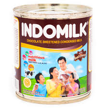 PERUSAHAAN INDOMILK ( PT. INDOLAKTO ): PRODUK
