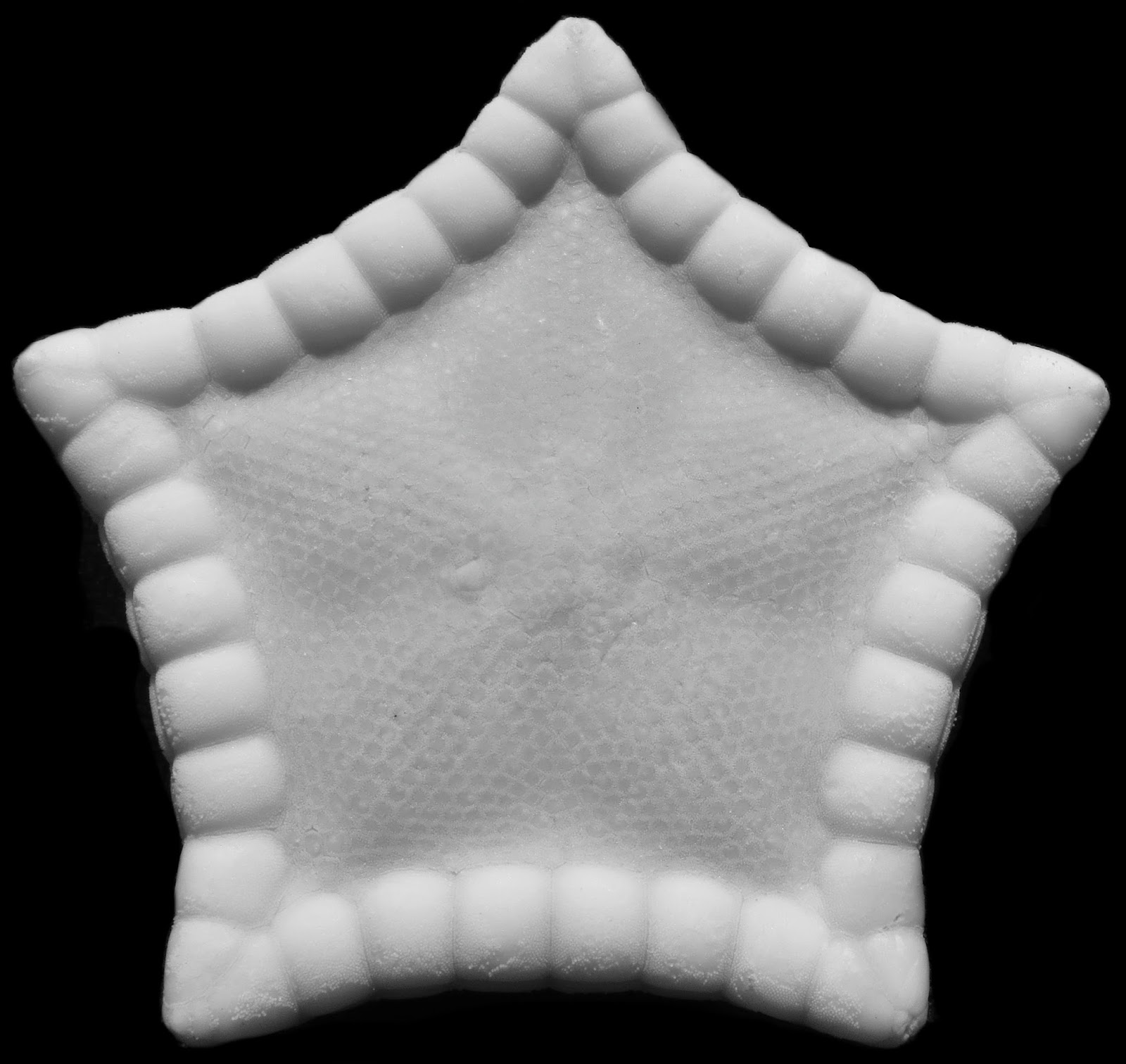 The Echinoblog: New Deep-sea Starfishes honor Hawaiian Scientists!