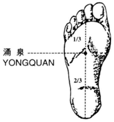 Gyógyszelence: Akupresszúrás pontok - Yongquan