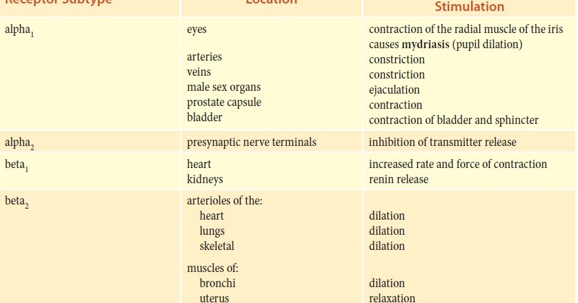 Adrenergic Receptor Subtype Functions |Pharmacology