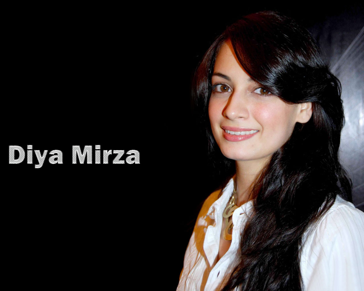 Actresses HD Wallpapers: Diya Mirza HD Wallpapers