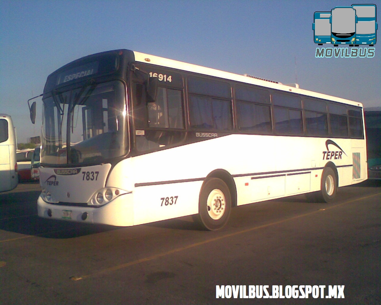 Fotos de los autobuses de la flota de Transporte Especializado de ...