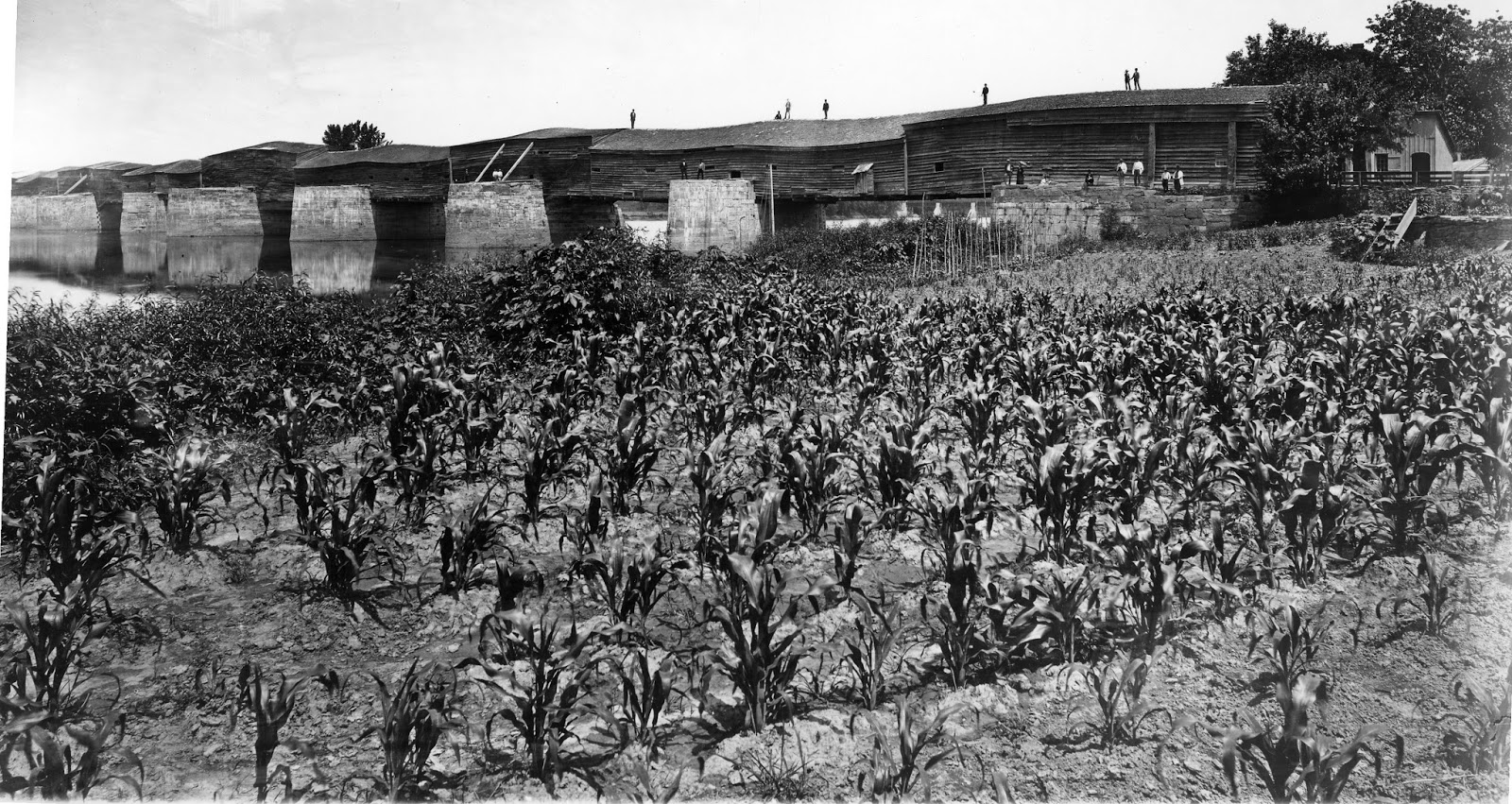 Grems-Doolittle Library Collections Blog: Schenectady's Fire of 1861