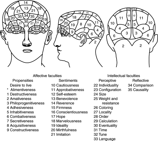 The Neurocritic: How did Gall Identify his 27 Faculties?