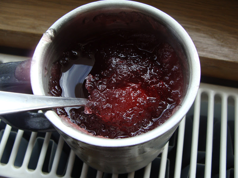 Iggy blogol: Jégkása készítése otthon