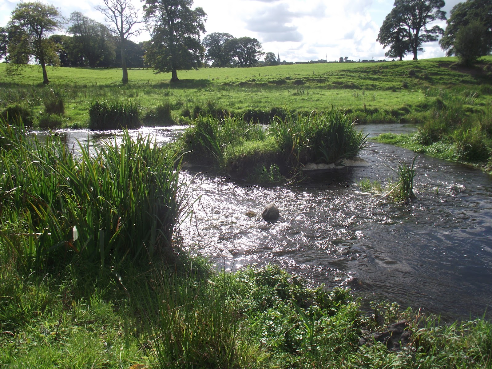 Piscari-Fly : The Kells Blackwater River