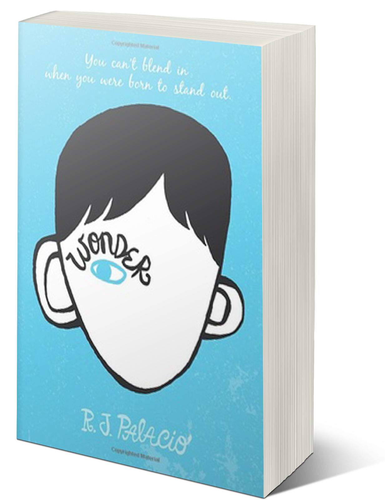 Review Wonder R.J Palacio | Dunia Sofia