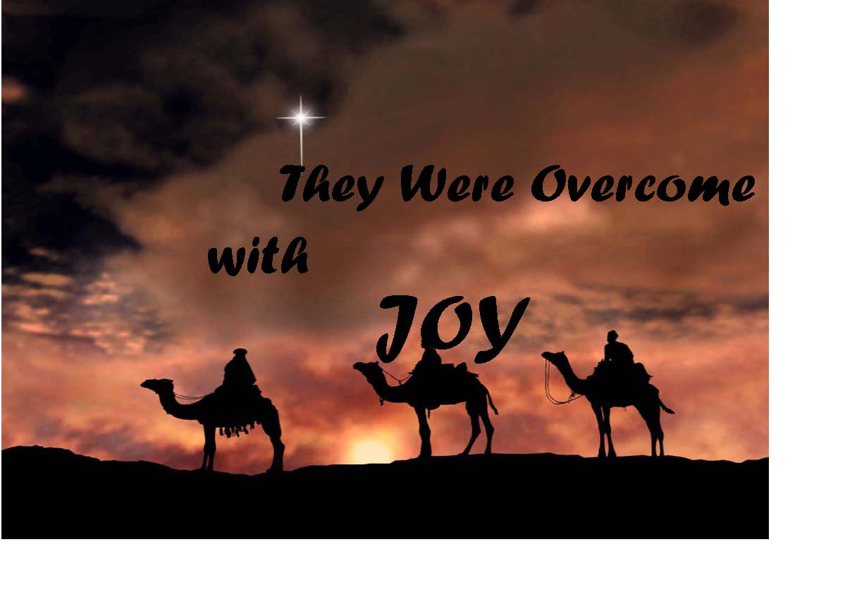 VillageOhio: Overcome With Joy by Cheri Holdridge (with an assist by ...