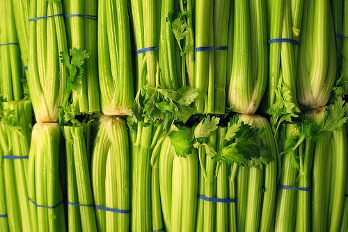 Behind the French Menu: Céleri - Celery. The Joys of Celery in French ...