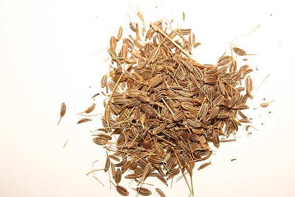 மூலிகைகள்: ஓமம்(Trachyspermum copticum)