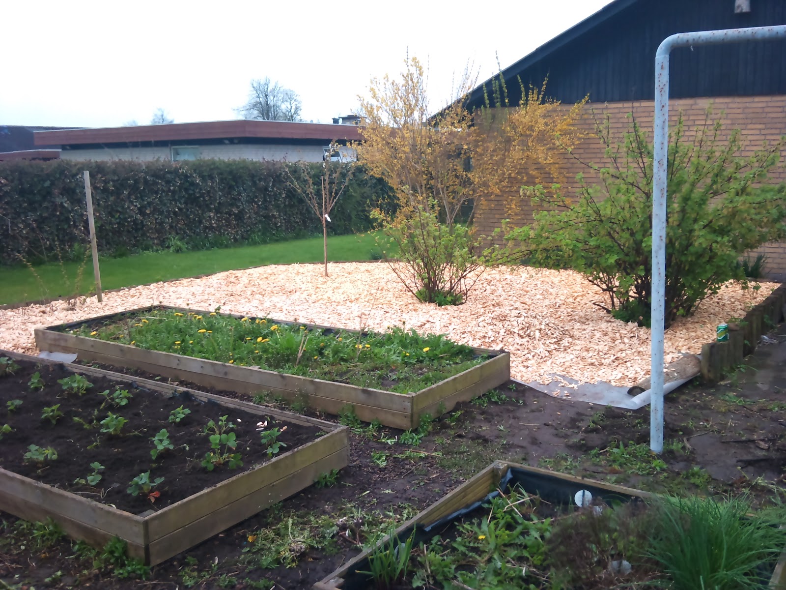 WeWannaBe: Flis, flis og atter flis... del 2