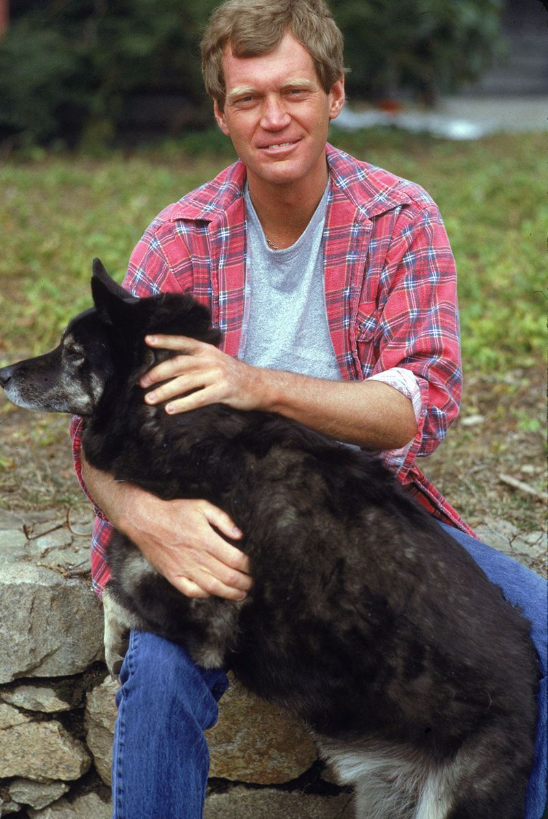 15 Fascinating Portrait Photos of David Letterman in the 1970s and ...