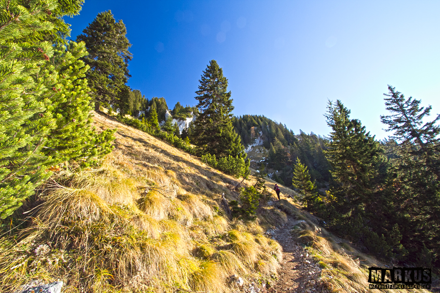 Najvišji vrh Karavank - Stol 2236 m.n.v.