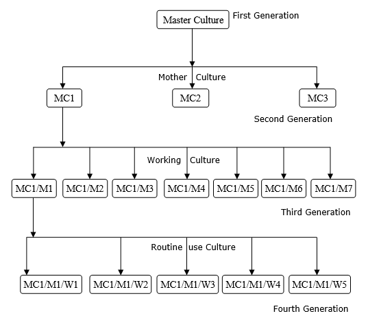 SOP for Standard Culture transfer and its maintenance in microbiology ...