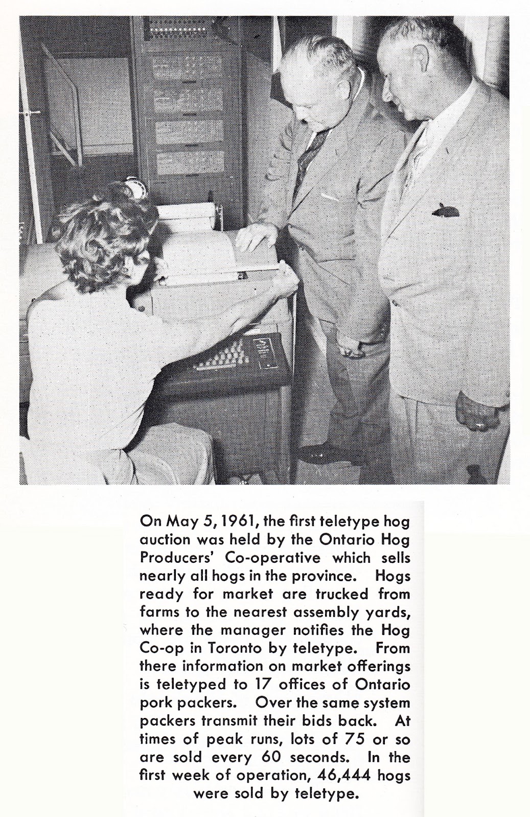 Progress is fine, but it's gone on for too long.: Remembering the first teletype hog auction in ...