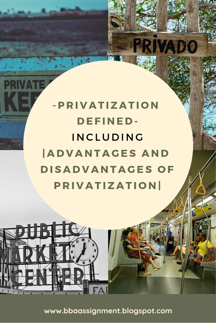 Cons Of Privatization