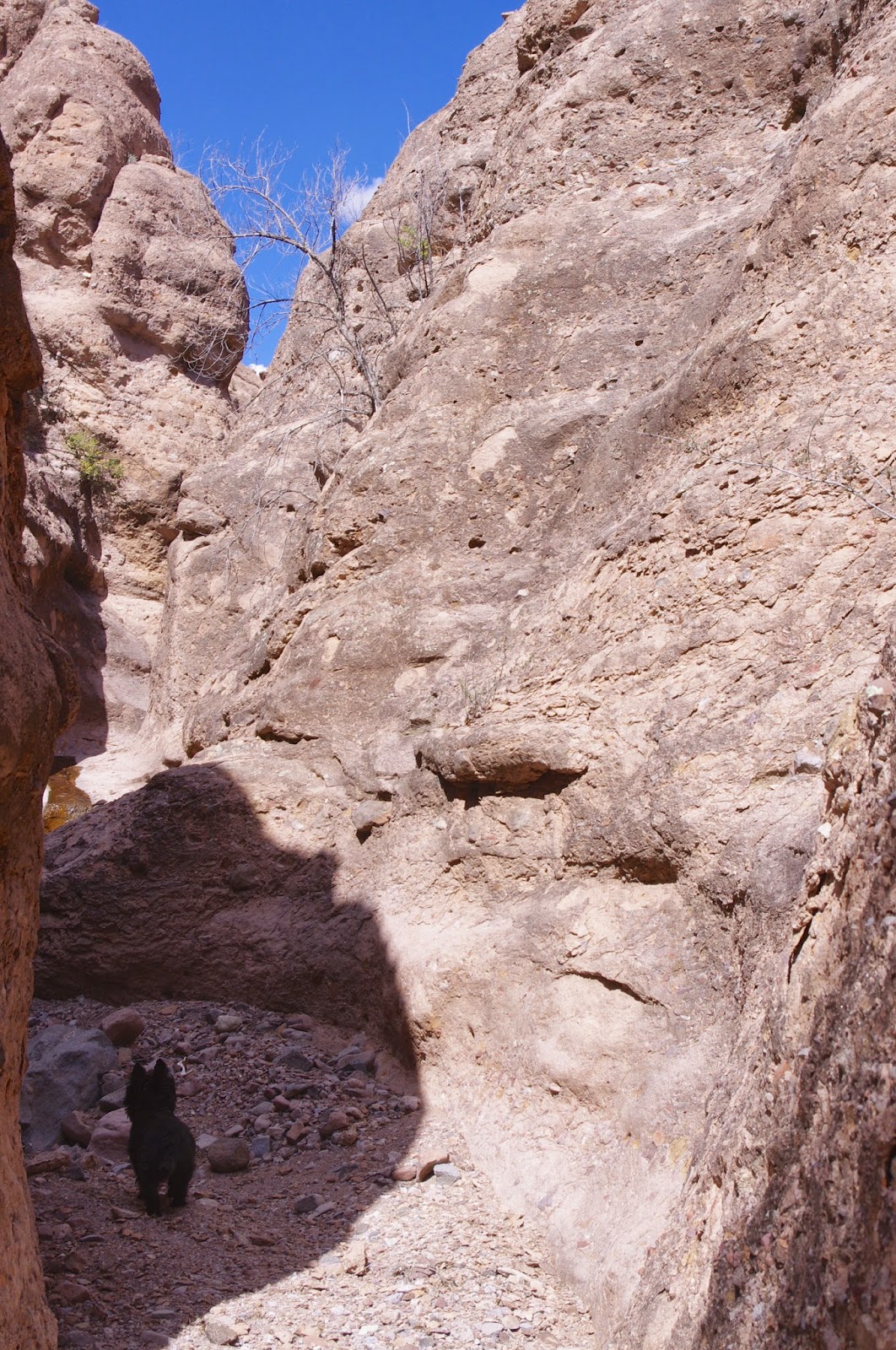 Southern New Mexico Explorer: Gila Wilderness-Lake Roberts Slot Canyons ...