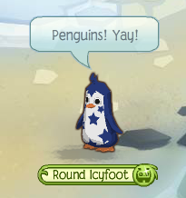 Animal Jam Community Blog: Penguins are Here! Animated Pictures Included
