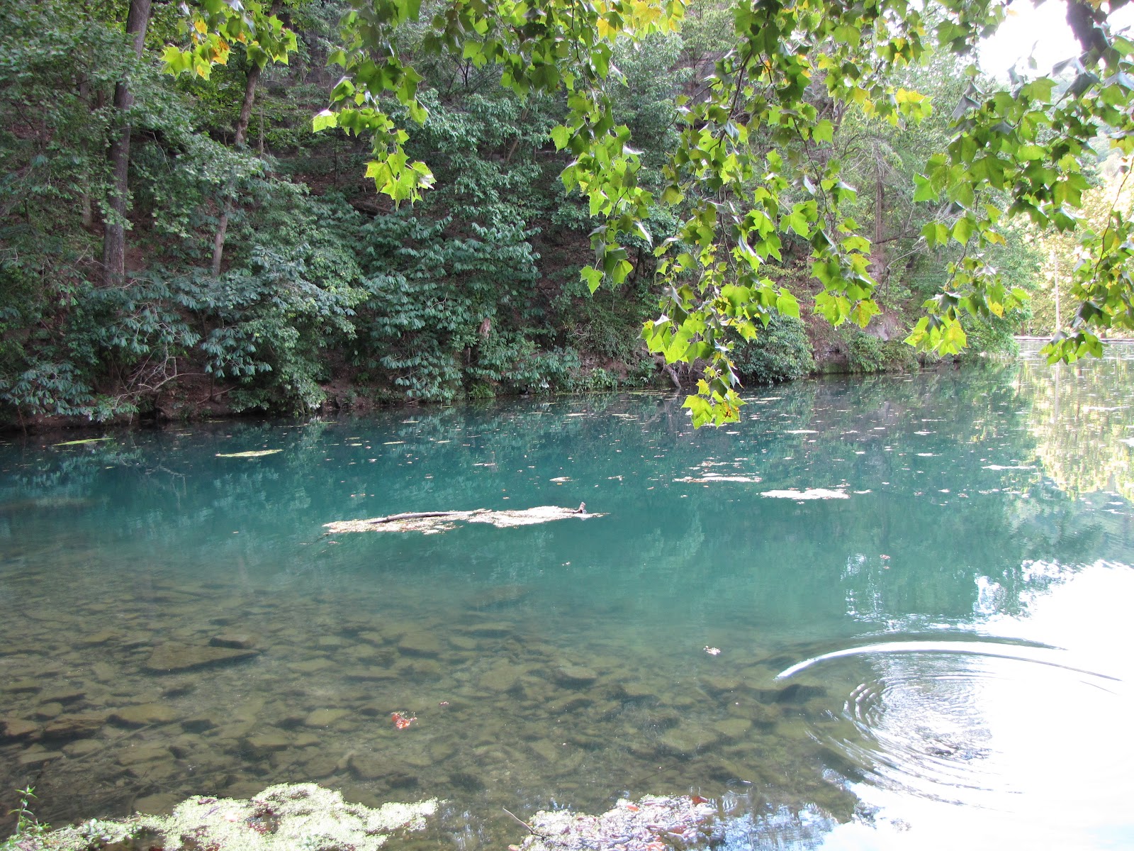 Granny Mountain: Roaring River State Park