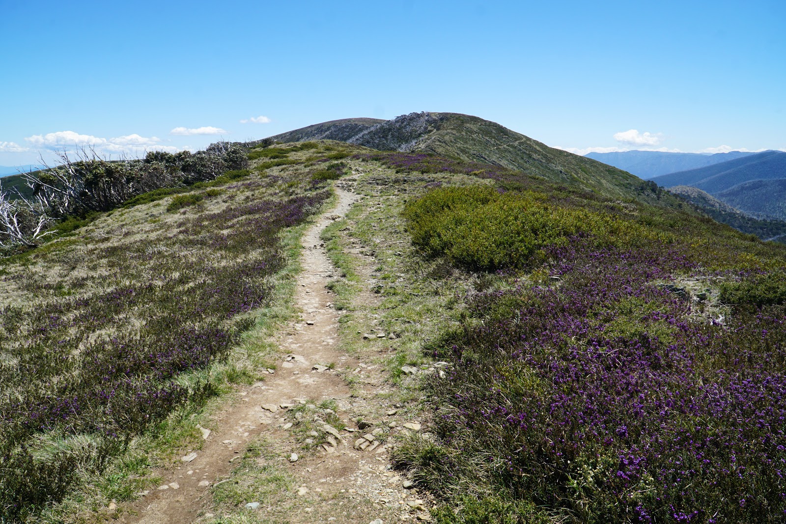 Mt Feathertop via the Razorback (Alpine NP) ~ The Long Way's Better