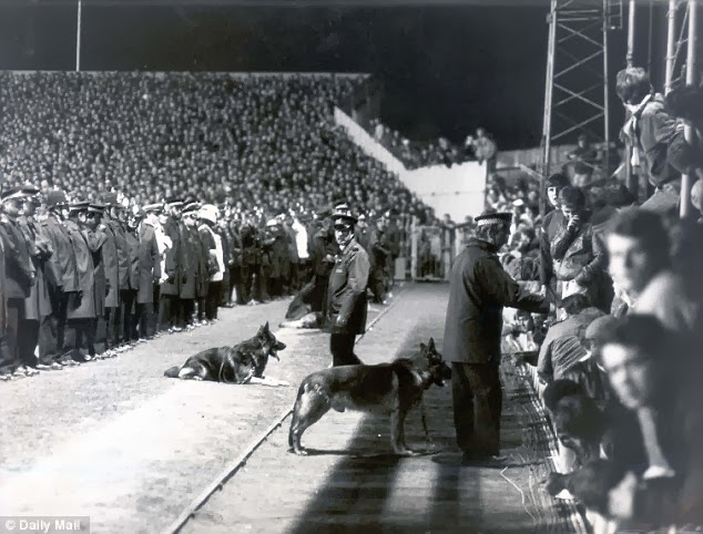 Football Hooligan Pictures: Luton v Millwall 1985 FA Cup (12 pictures)