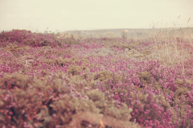 Tuonetar: The pictures