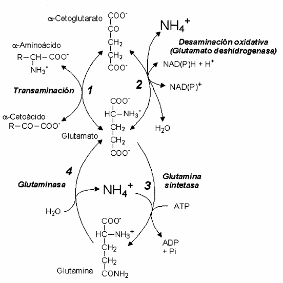 Yaisuri Garcia: Primer Avance blog