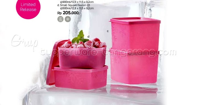 Frozen Square Set 4 Tupperware Promo Februari 2017 - Tupperware ...