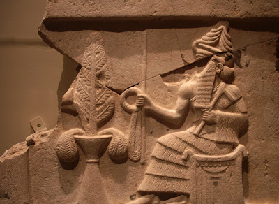 Ancient Tides: Factors Contributed to Akkadian Fall