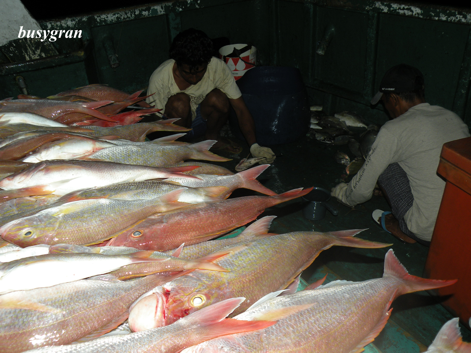 A Busy Gran's Kitchen: Steamed Fish with Chai Po
