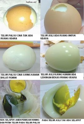 Ciri-ciri telur palsu China ! | wisbenbae