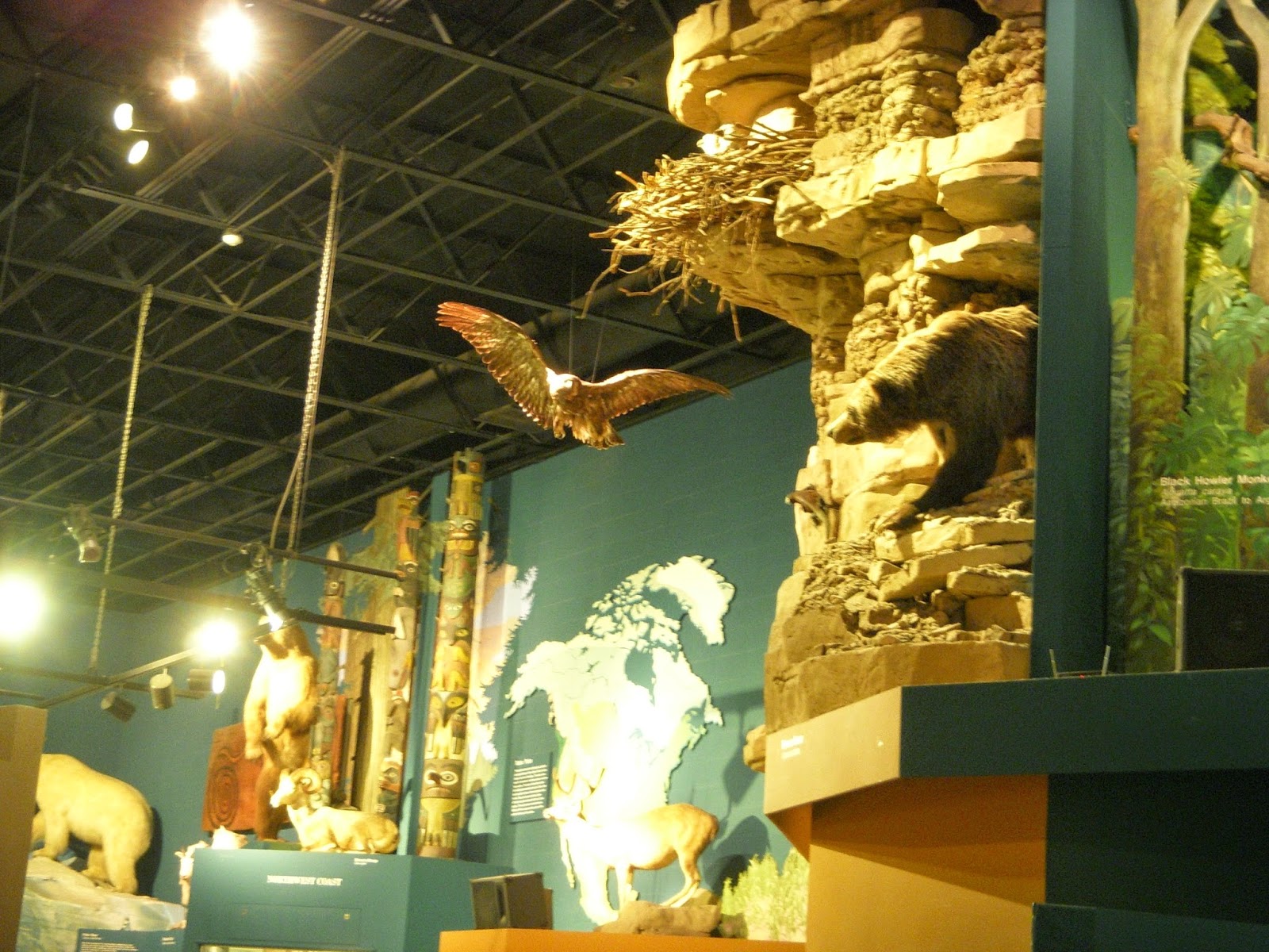 Raptormaniacs: Cleveland Museum of Natural History