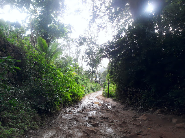 Tamilnadu Tourism: Kundaru Falls, Sengottai, Thirunelveli