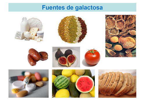 Quimica Organica II FIQT: Carbohidratos
