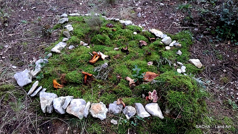 L'art dans la nature ( blog sur le Land Art )