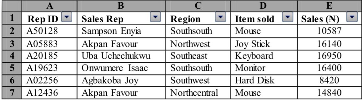 Using MS Excel: Filtering Data in Microsoft Excel