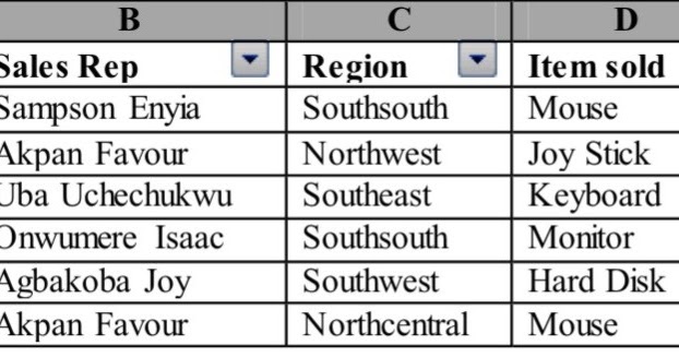 Using MS Excel: Filtering Data in Microsoft Excel