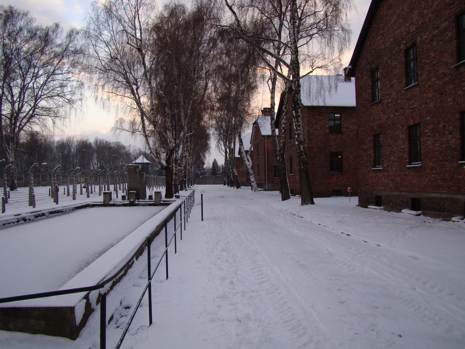 Auschwitz 2012: Auschwitz 1: The Swimming Pool