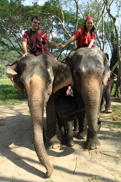 Elephant Farm