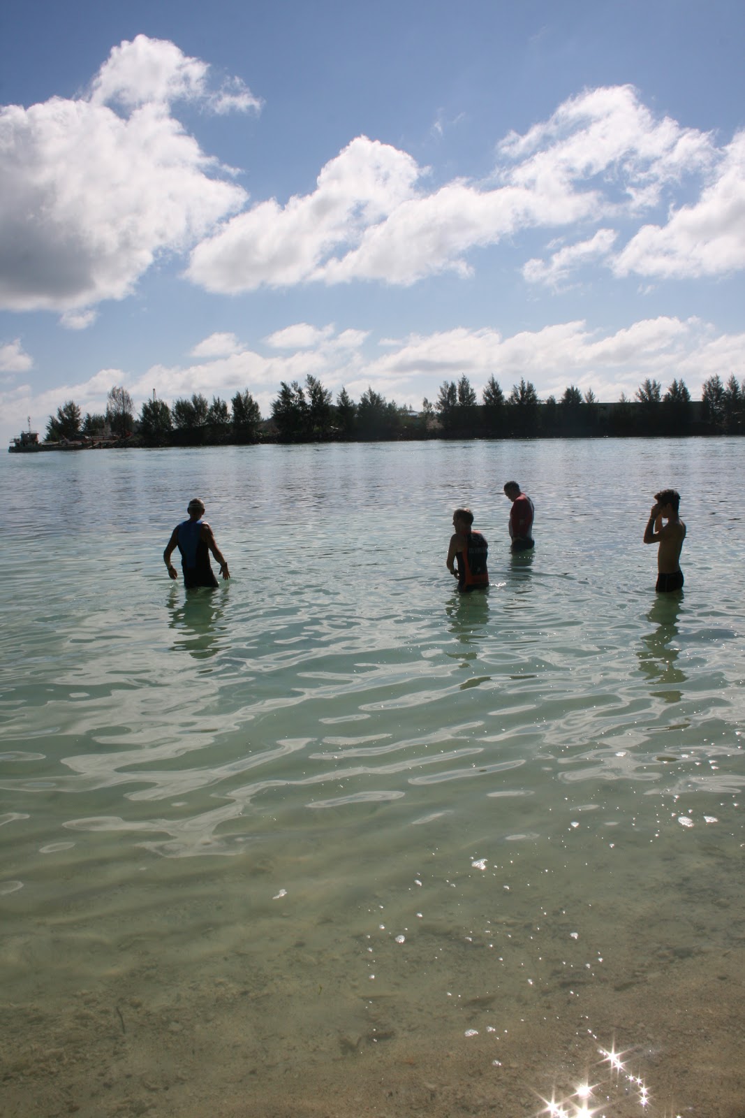 Paradise Tri Training: Swim Threshold T100