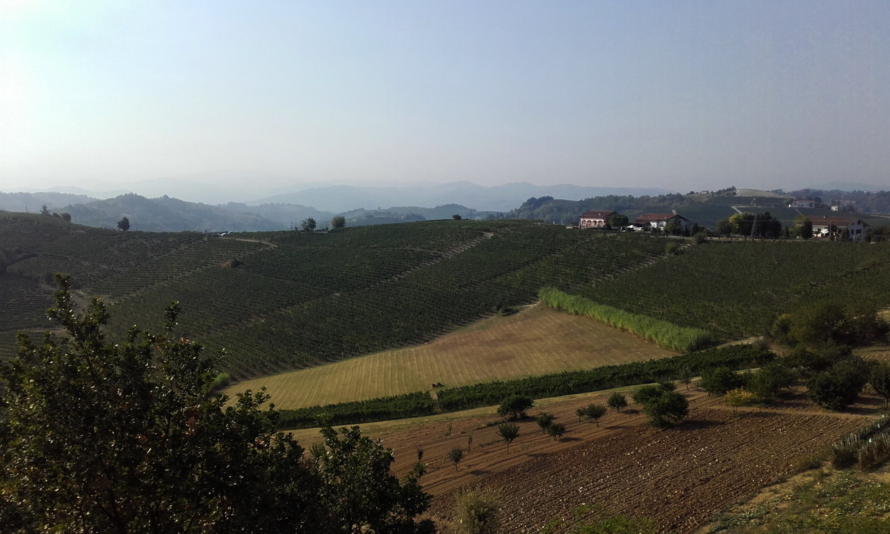 Following My Way: La pausa di Ricaldone