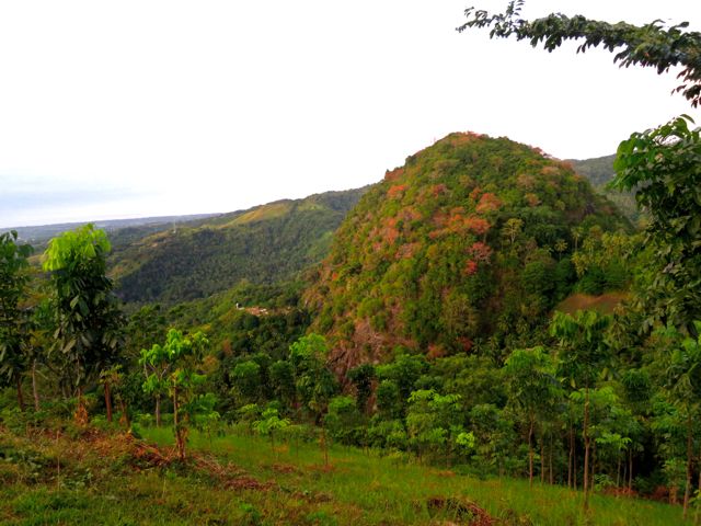 In Pinay's Eyes: MOUNT PULONG BATO IN ZAMBOANGA CITY