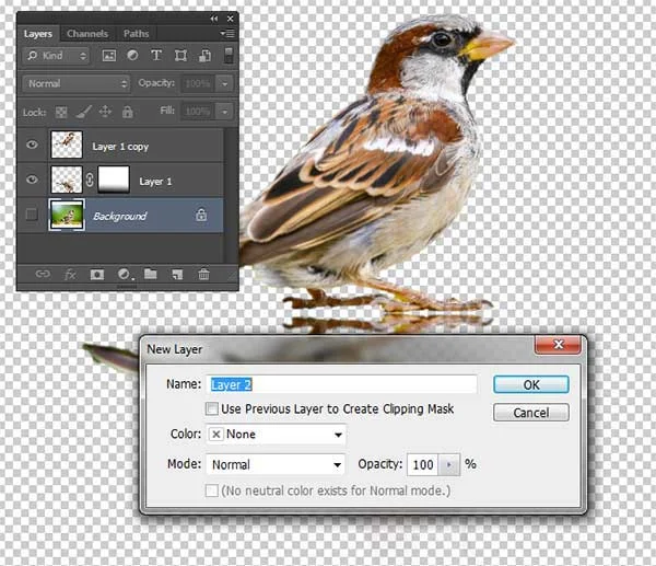 PhotoEffect: How To Create A Reflection In Photoshop