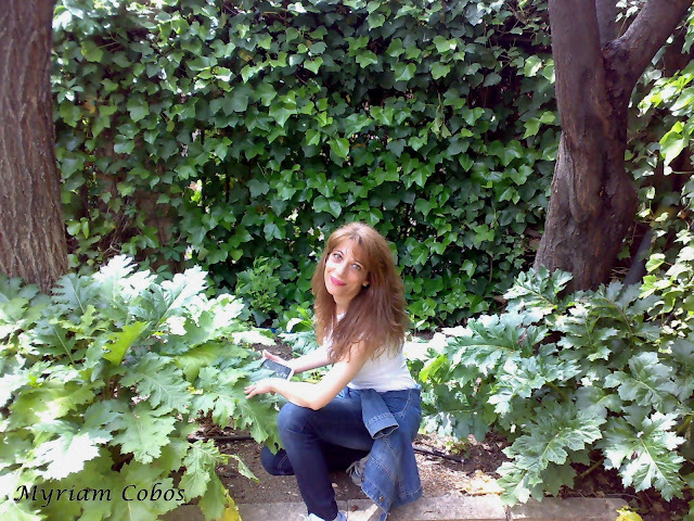 NAVEGANDO POR EL RÍO DE LA HISTORIA: HOJAS DE ACANTO