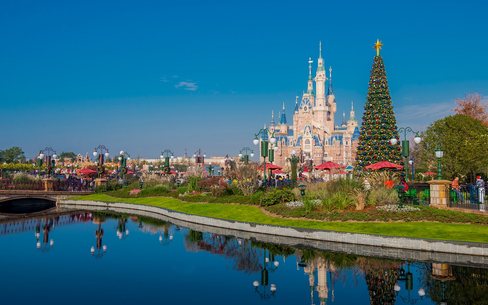 The Tree and the Castle
