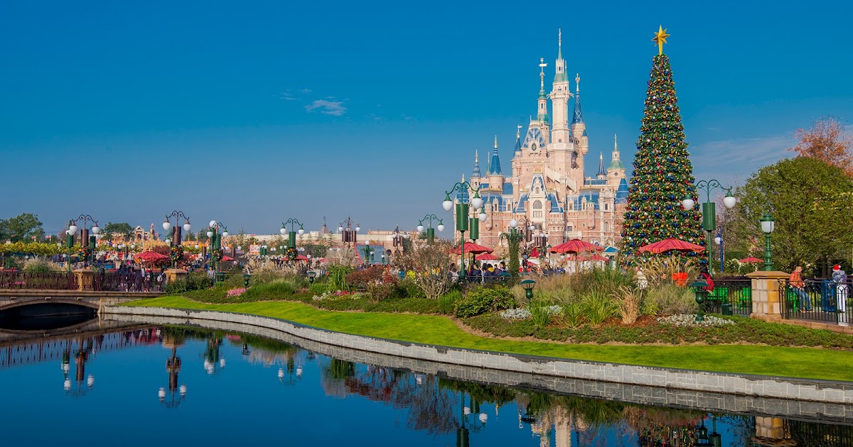 The Tree and the Castle