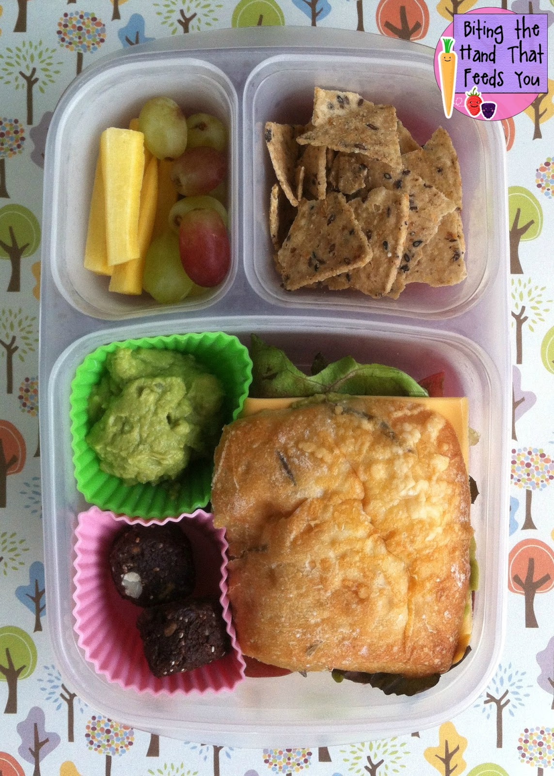 Biting The Hand That Feeds You: Vegan Mama Lunch with Superfood Snacks ...